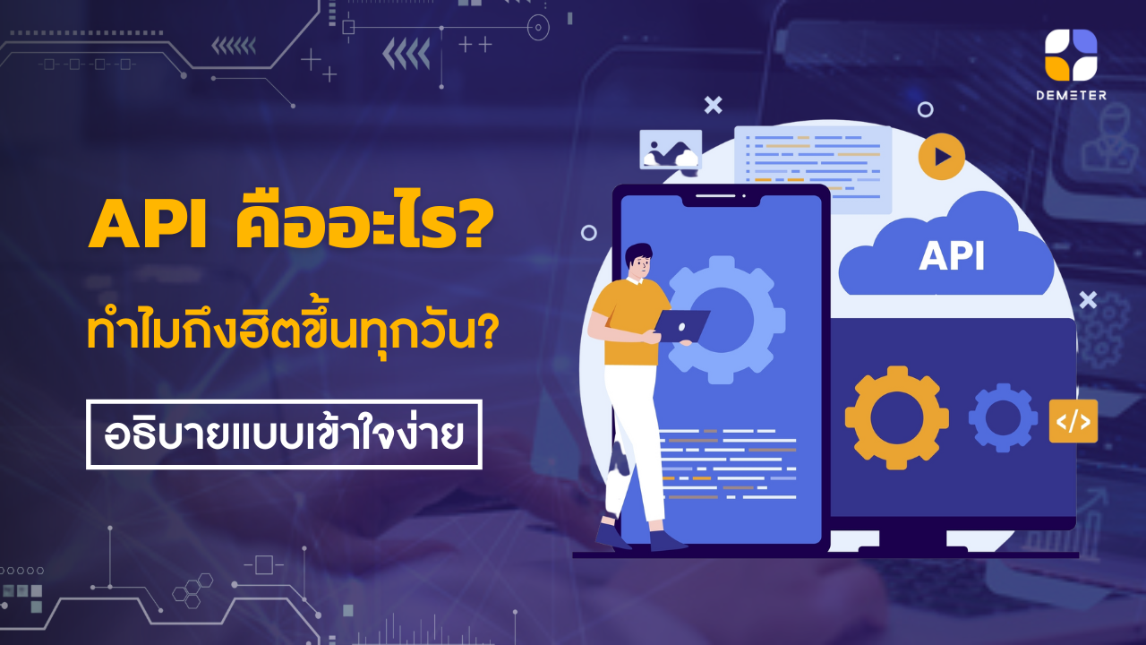 API คืออะไร? ทำไมถึงฮิตขึ้นทุกวัน? อธิบายแบบเข้าใจง่าย - DEMETER ICT